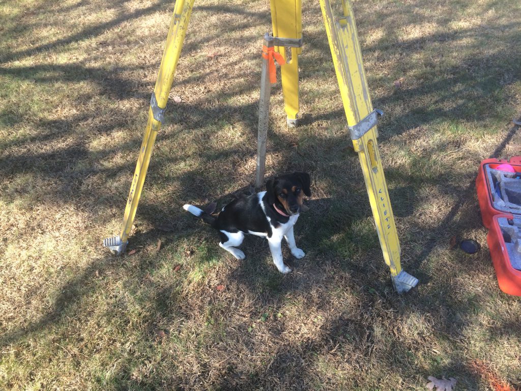 Survey Dog – Stadia Engineering Associates, Inc.